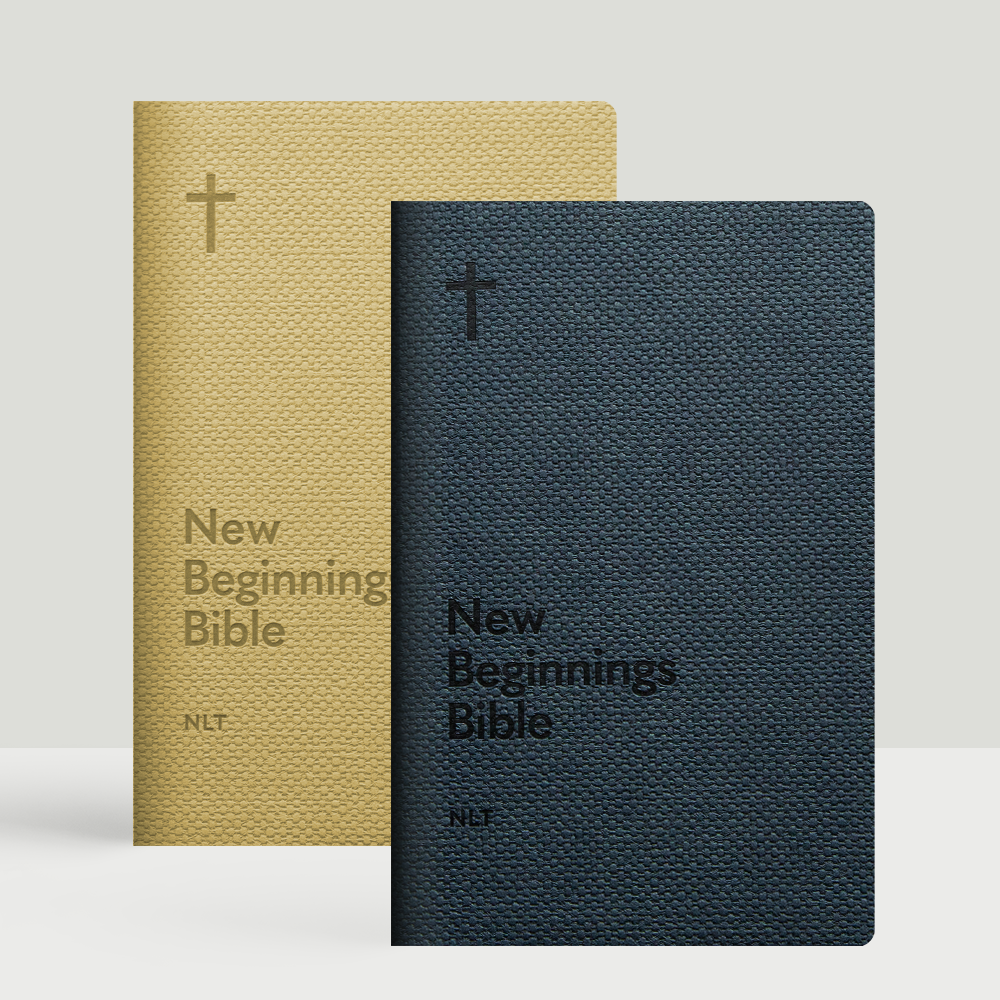 New Beginnings Bible NLT – Box of 24 | Bulk Bibles for Churches | Bible ...