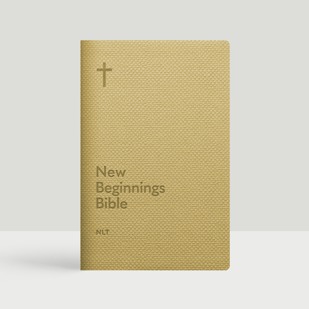 New Beginnings Bible NLT – Box of 24 | Bulk Bibles for Churches | Bible ...